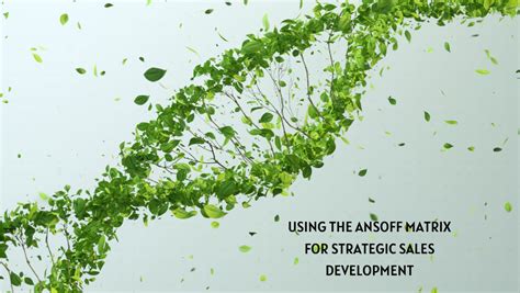 How To Use The Ansoff Matrix For Strategic Sales Development