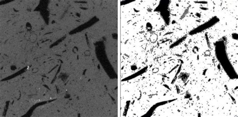 Result Of Image Segmentation Applying K Means Algorithms In Sample 6 Download Scientific Diagram