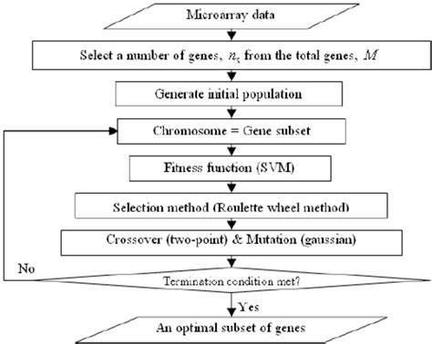 The Flow Chart Of Gasvm Ii Download Scientific Diagram