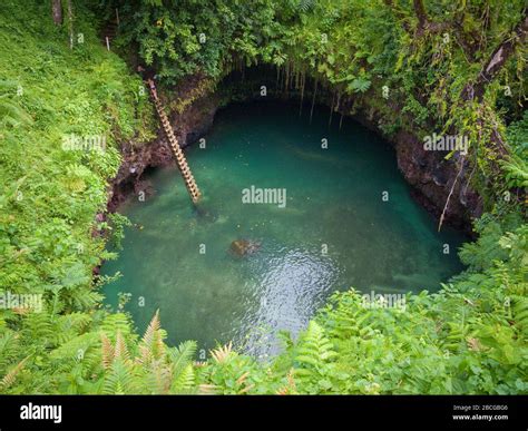 Volcanic Fresh Water Pool In The Rainforest Of The Republik Of Samoa