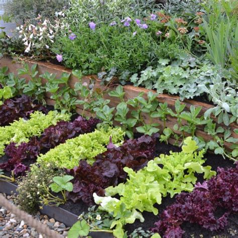 Shop Compost New Leaf Compost