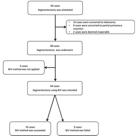 Flow Chart Showing Patients Scheduled For Pulmonary Segmentectomy
