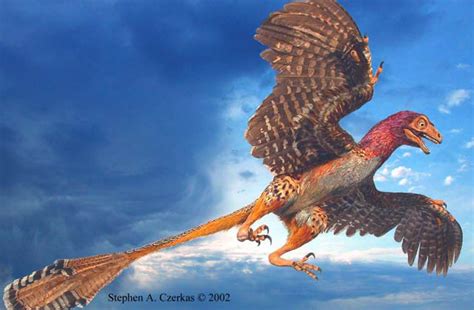 Cryptovolans Pictures And Facts The Dinosaur Database