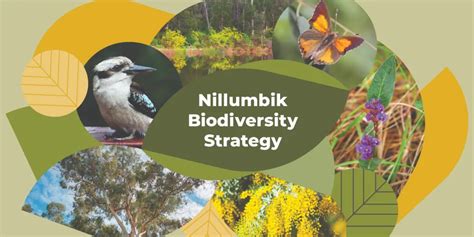 Protecting And Enhancing Biodiversity Into The Future Biodiversity