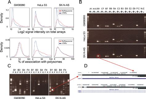 A Top Distribution Of Log 2 Intensities Of Array Signals From