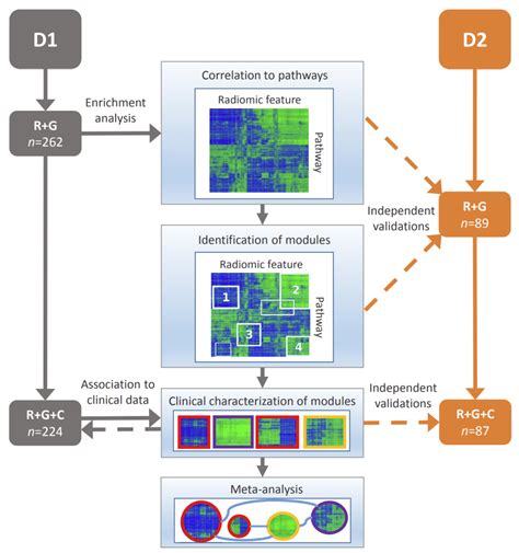 细说影像组学生信研究玩法迭代！看看你的研究在第几层？生物学关联特征