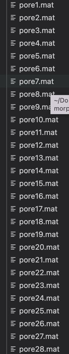 Load Matlab Files In Pytorch PyTorch Forums