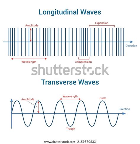 Longitudinal Wave Diagram Transverse And Longitudinal Wave Propagation