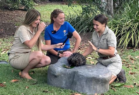 Caroline Rutherford On Linkedin In Conversation With Caroline