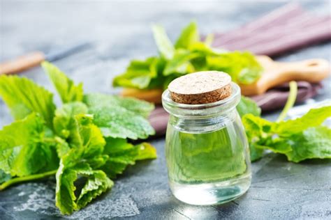 8 Natural Remedies For Sinusitis Quick Sinusitis Remedies