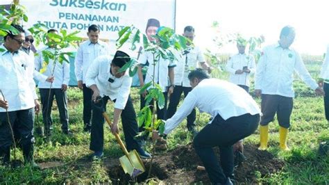 Hijaukan Negeri! UIN Saizu Purwokerto Tanam Pohon Matoa Dukung Gerakan 1 Juta Pohon Matoa ...