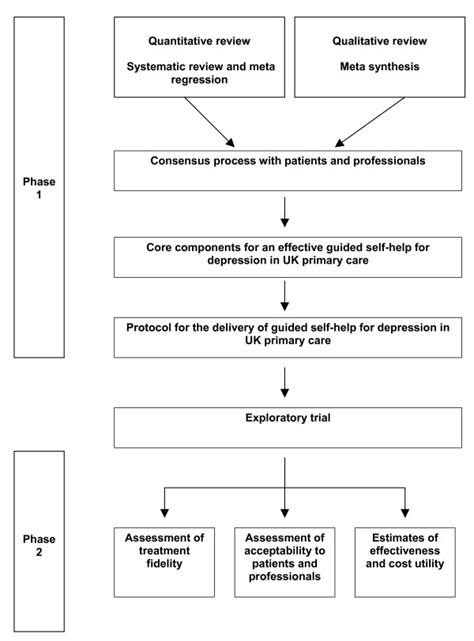Structure Of The Intervention Development Process Download