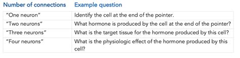 Writing Higher Order Multiple Choice Questions Center For Teaching Vanderbilt University