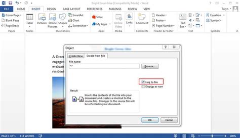 Insert Excel Into Word