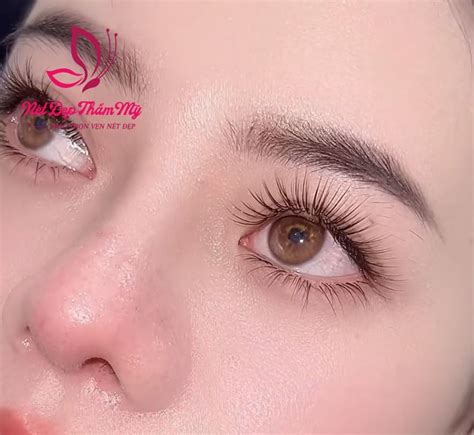 Mi Lông Thỏ Là Gì Tất Tần Tật Về Mi Lông Thỏ