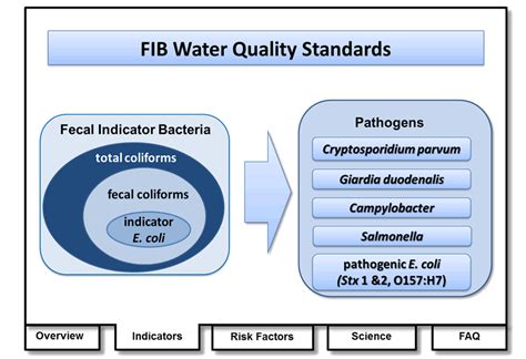 Indicatorstotalcoliforms