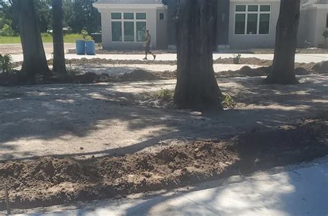 Homeowner Shares Photo After Renovation Project Jeopardizes Health Of Massive Old Tree I Don T