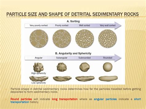 Unit 4 Sedimentary Rocks Ppt Download