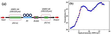 Generation Of Different Mode Locked States In Nonlinear Multimodal Interference Based Fiber Lasers