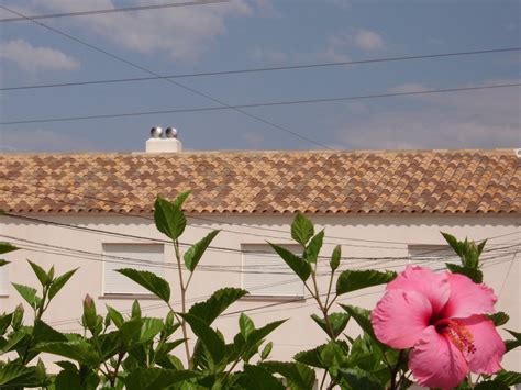 Adosados Almazora Castellón Tejas Borja