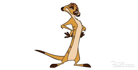Timon D23
