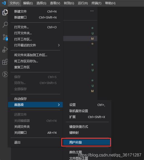 Vs Code配置markdown代码片段markdown插入json Csdn博客