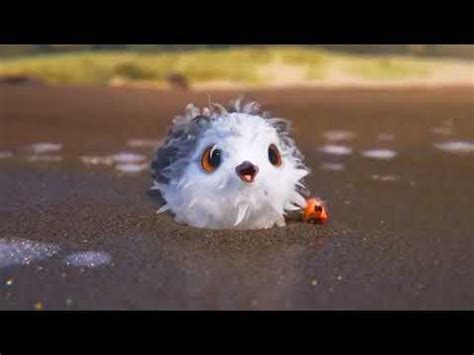 Piper Short Film By Disney Pixar The Best Animated Short Film Hd