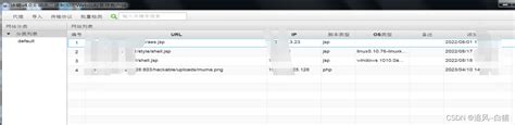 常见的webshell的流量特征和检测思路 webshell流量特征 csdn博客