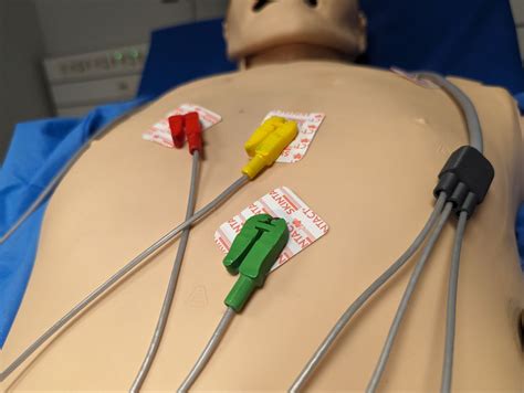 Ecg Electrode Clip Prop For Healthcare Simulation By Aleksandrs Oborins