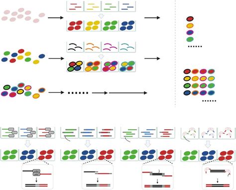 Review Article Single Cell Technologies Beyond Microfluidics