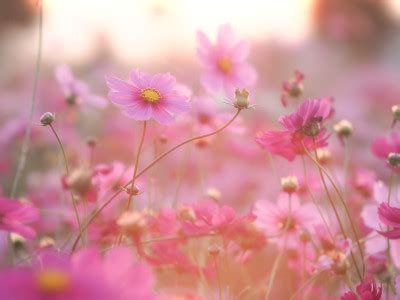 By T Tomorrow Tumbex