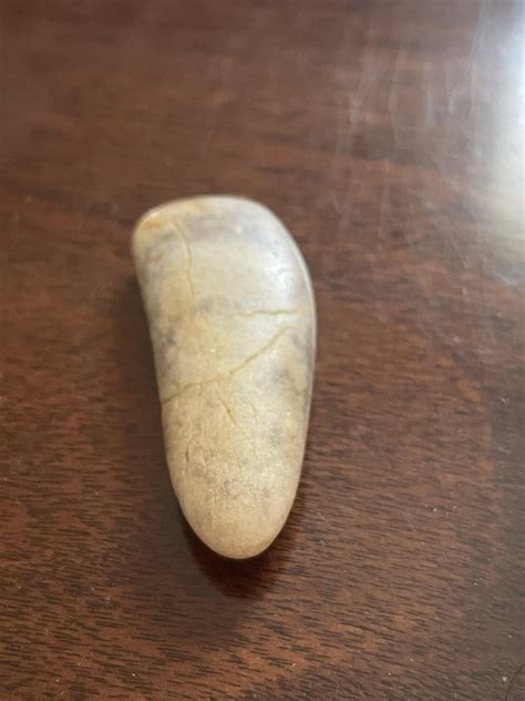 Is This A Fossilized Tooth R Fossils
