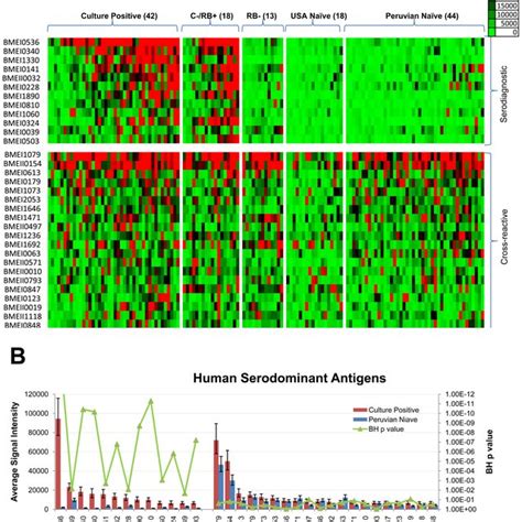 Cross Reactive Brucella Melitensis Antigens For Humans And Goats Download Table
