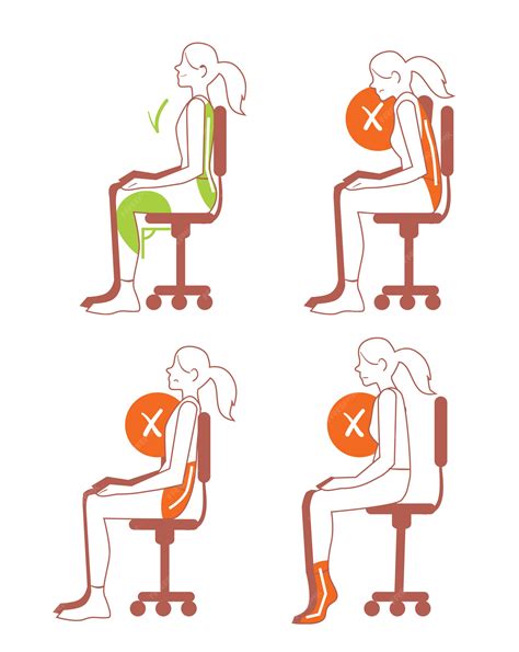 Positions Assises Posture Correcte De La Colonne Vertébrale Vecteur