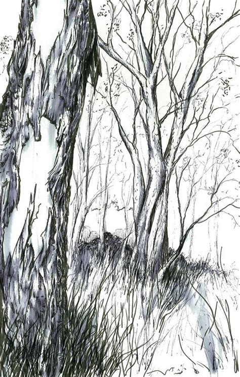 Trees In The Grass Tree Drawing Tree Branch