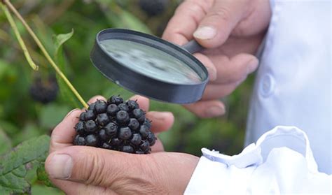 责任供应链康弘药业