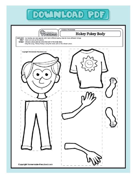Poky Body 1° Basico Pdf