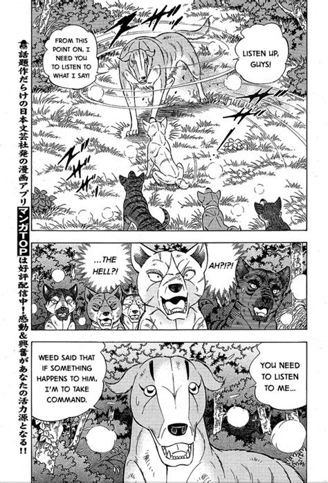 Pin By Kim Kolwiek On Ginga Densetsu Noah Favorite Noah