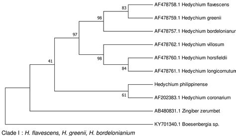 Figure 4 Phylogenetic Analysis And Dna Barcoding Of