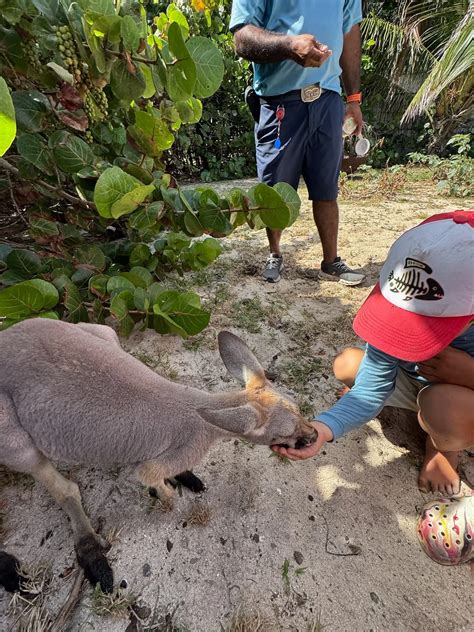 Exploring Necker Islands Wild Side