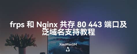 frps和 Nginx 共存 端口及泛域名支持教程