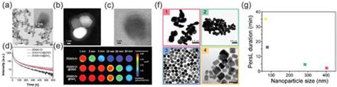Persistent Luminescent Nanoparticles Challenges And Opportunities For A Shimmering Future