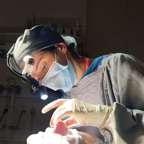 Raíssa Albuquerque Rinoplastia E Otorrino Draraissaalbuquerque