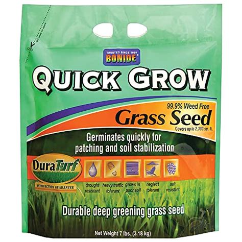 Top 10 Best Quick Growing Grass Seed Reviews And Buying Guide Katynel