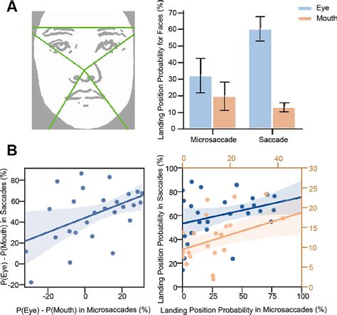 Figure 1 From Common Structure Of Saccades And Microsaccades In Visual Perception Semantic Scholar