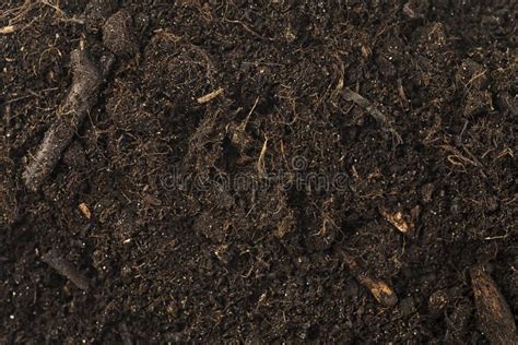 Fertile Soil Texture Background Top View Gardening Or Planting