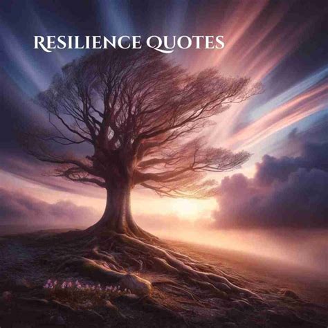 Resilience Quotes That Will Always Inspire You Tvinor