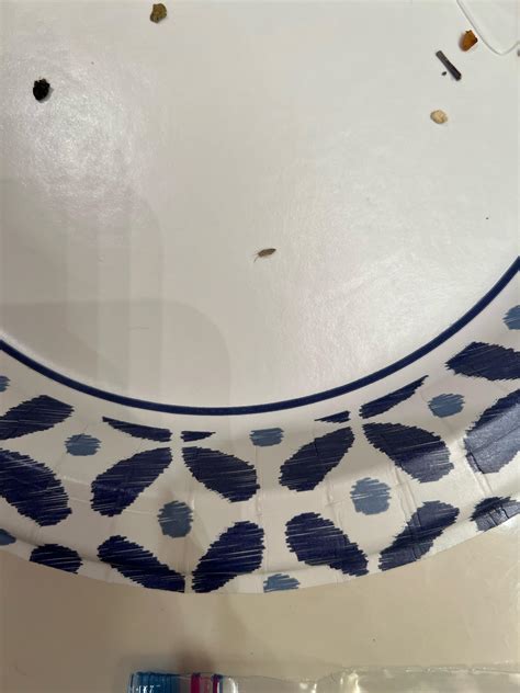 Is This A Bug Or Lint Rwhatsthisbug