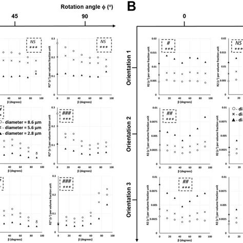 Vessel Size Effect On R2 And R2 Relationship With The Bifurcation Download Scientific Diagram