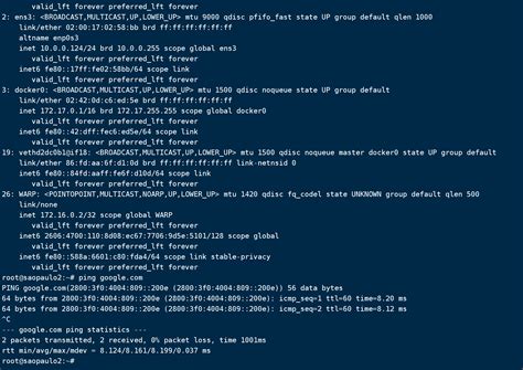 Help Wanted 求助 Warp Go如何使用 · Issue 232 · Fscarmenwarp · Github